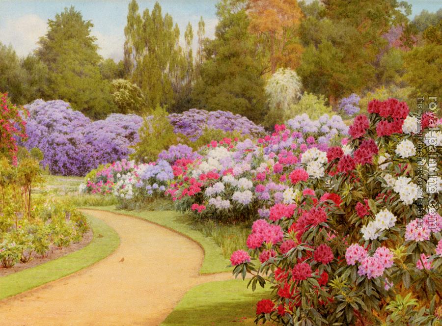 The Rhododendron Walk by George Marks | Oil Painting Reproduction
