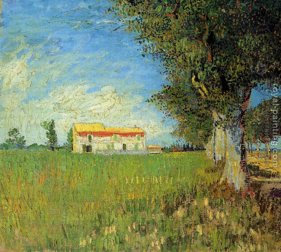 Farmhouses in a Wheat Field by Vincent Van Gogh | Oil Painting Reproduction