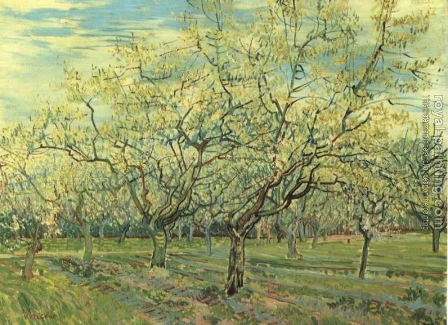 The White Orchard by Vincent Van Gogh | Oil Painting Reproduction