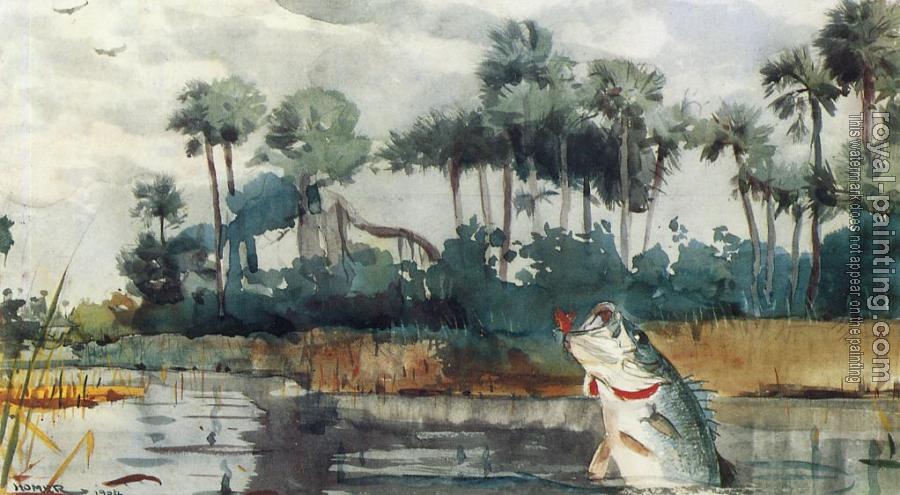 Black Bass Florida by Winslow Homer | Oil Painting Reproduction