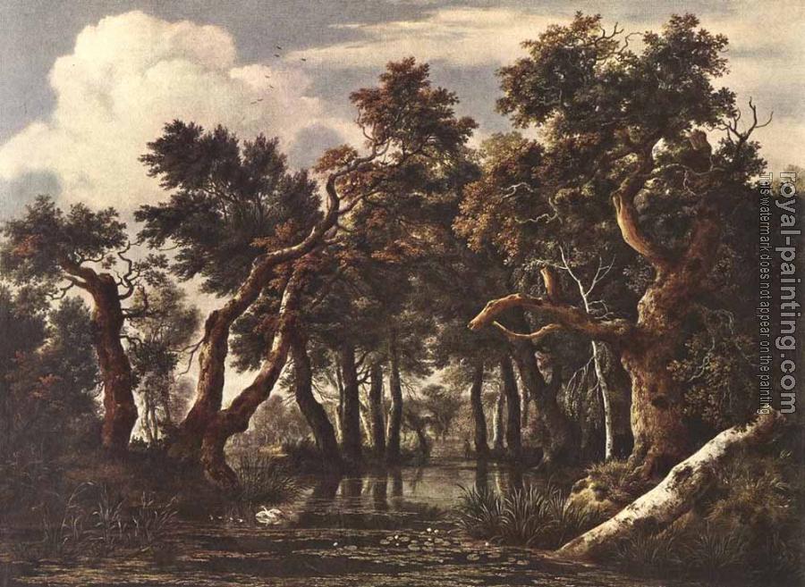The Marsh In A Forest by Jacob Van Ruisdael | Oil Painting Reproduction