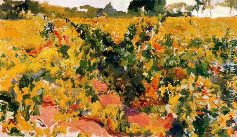 Study of Vineyard by Joaquin Sorolla Y Bastida | Oil Painting Reproduction