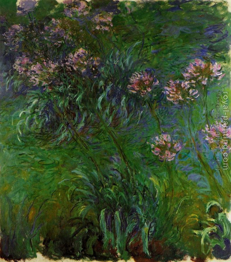 Agapanthus by Claude Oscar Monet | Oil Painting Reproduction